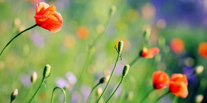 Primavera começa com frente fria no Sul de Minas « Lavras24horas ...