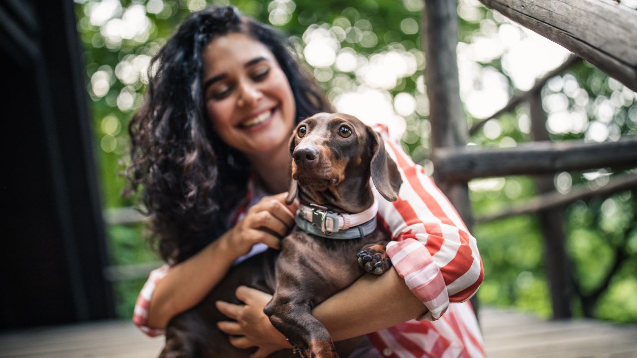 Nomes de cachorro fêmea pequena: como escolher o ideal para sua nova ...